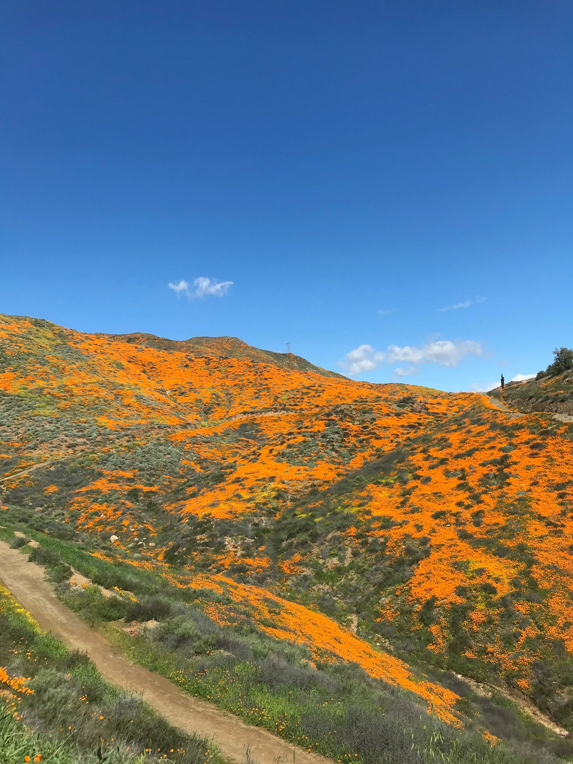 Elevated Perspectives Aerial Photography