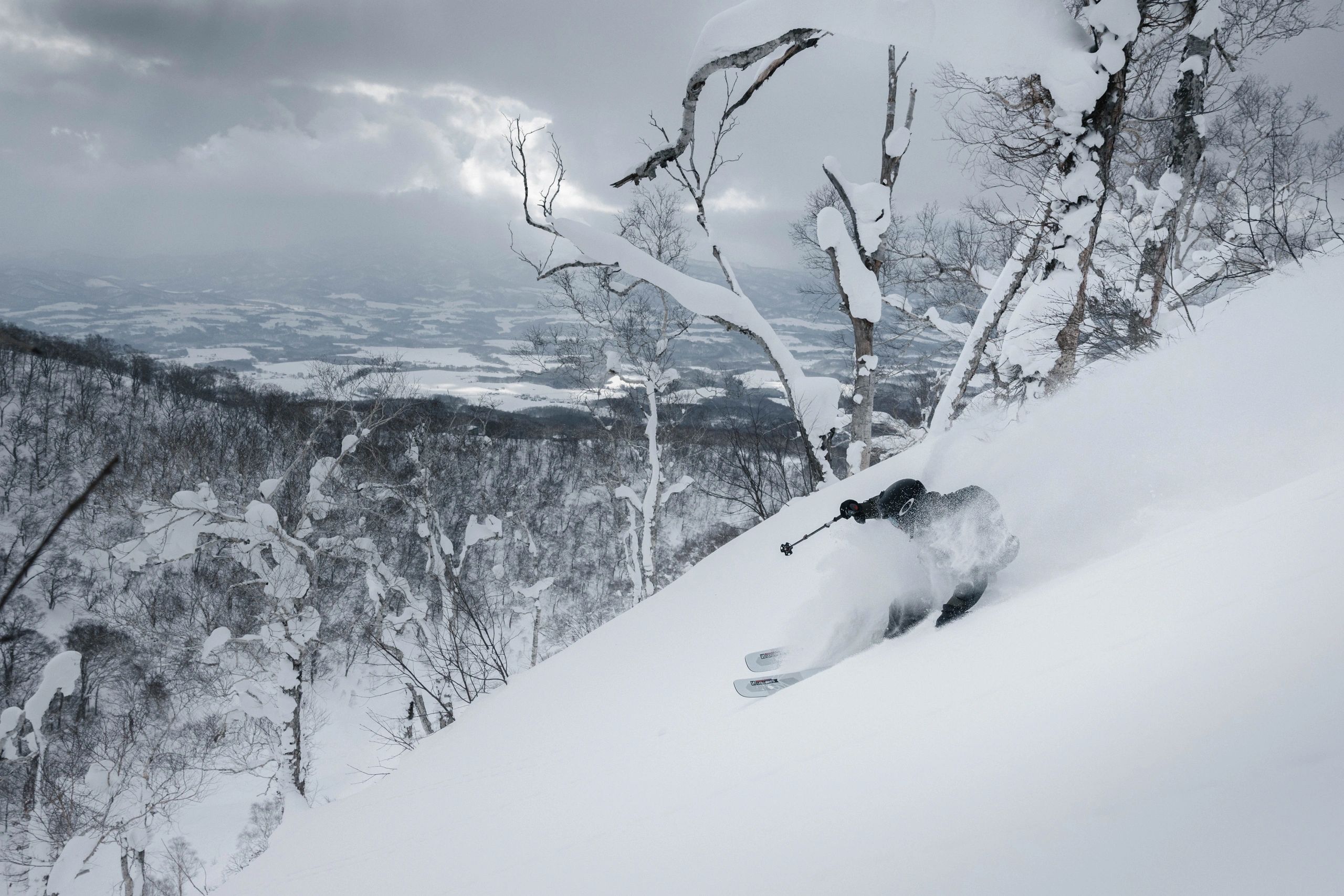 Ski & Snowboard Lessons - Elitesnowsports