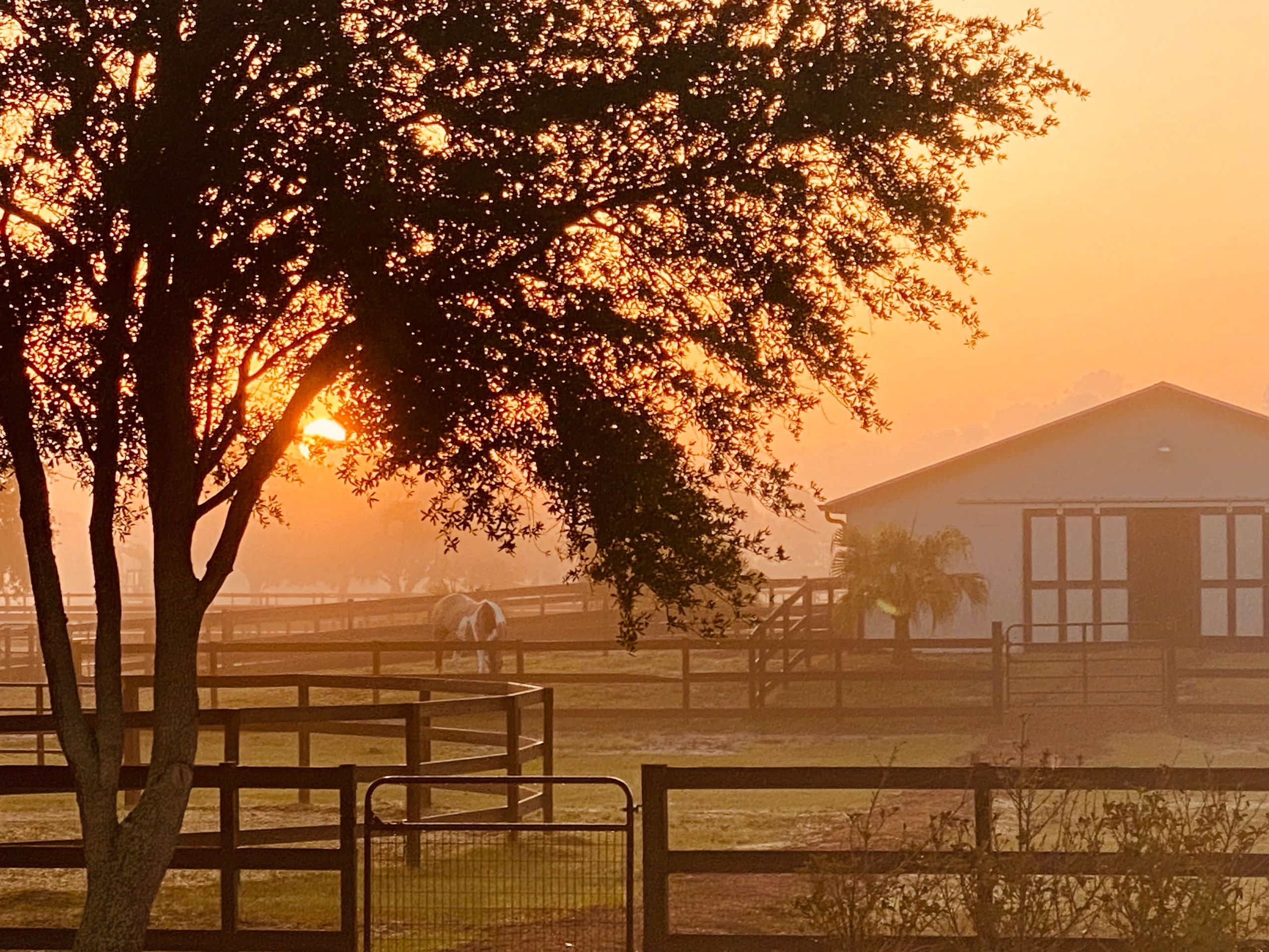 Welcome to Kanner Farms - Your Equestrian Farm Destination
