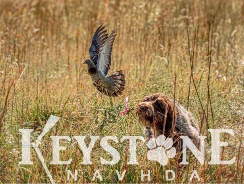 Locations and Directions