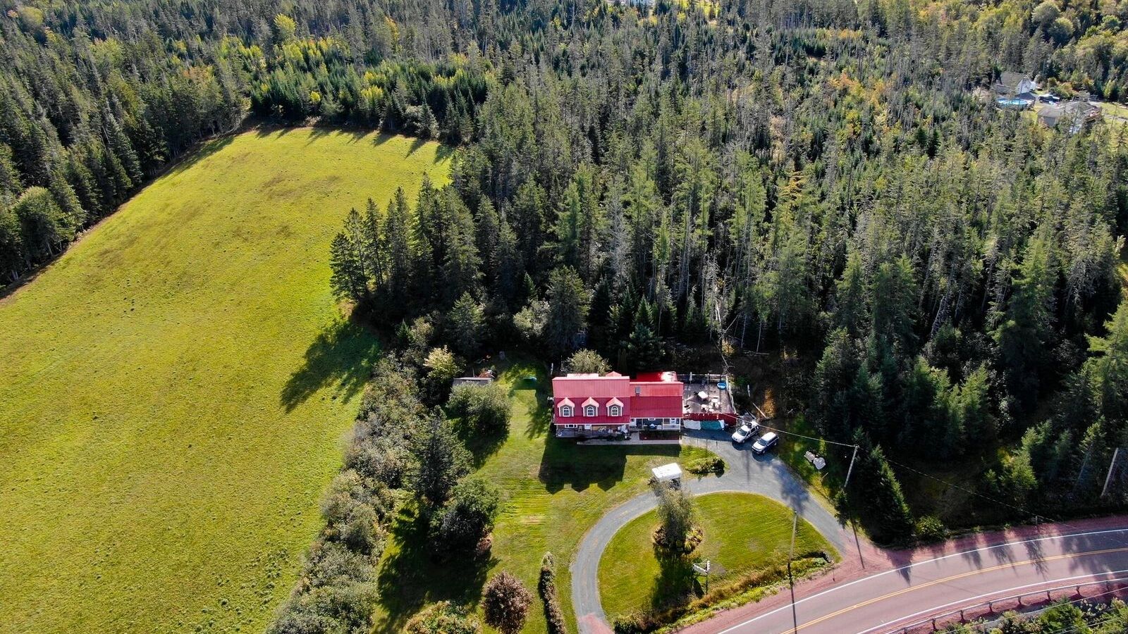 Red Woof Inn Doggie Daycare - Doggie Daycare, Dog Boarding