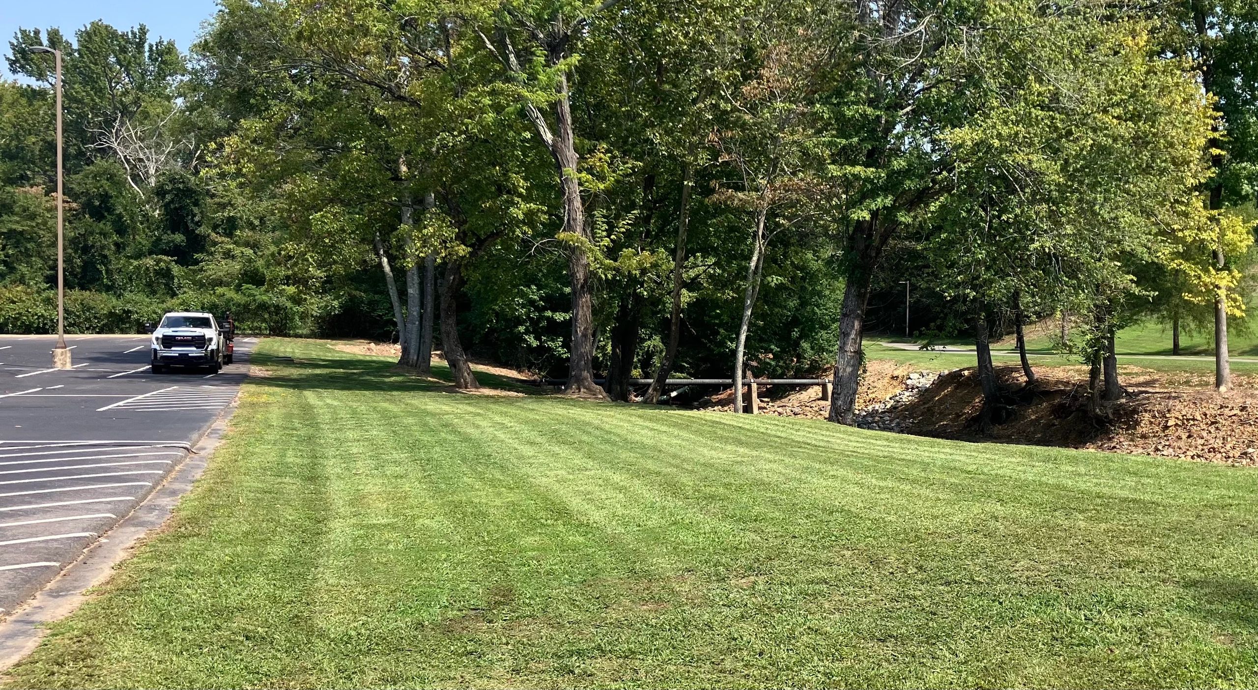 Southern Lawn