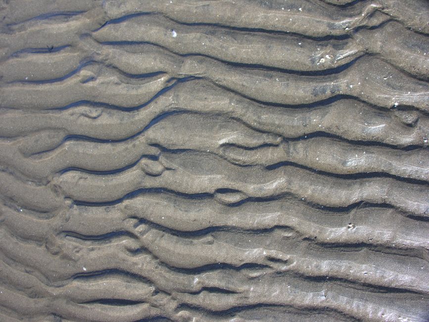 Bedforms | Coast and Ocean Collective