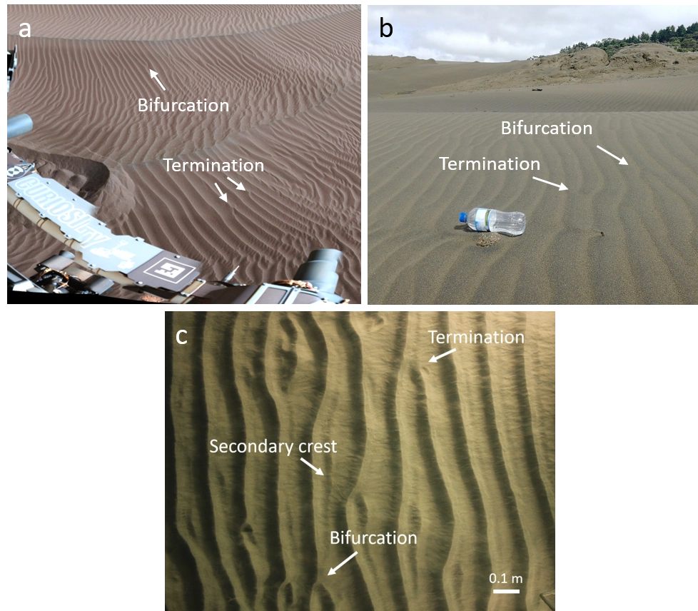 Defects & regularity in sand ripples