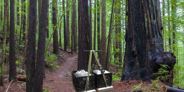 Betsy Gun® Seismic Sources - Seismic Acquisiton, Seismology