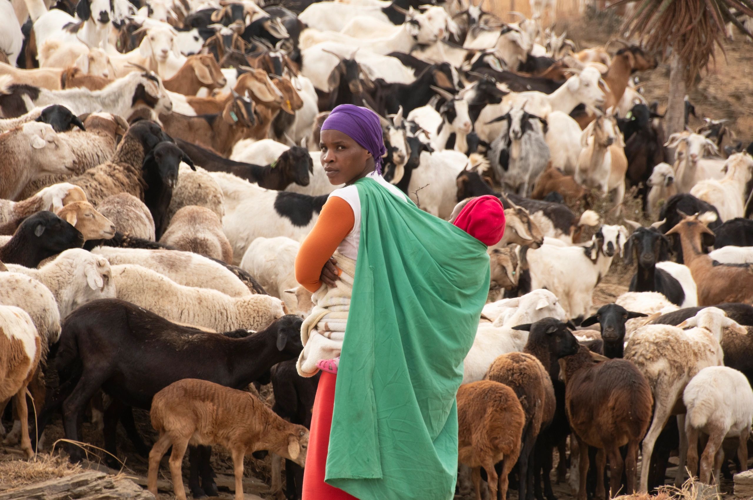 What we do | Mdukatshani