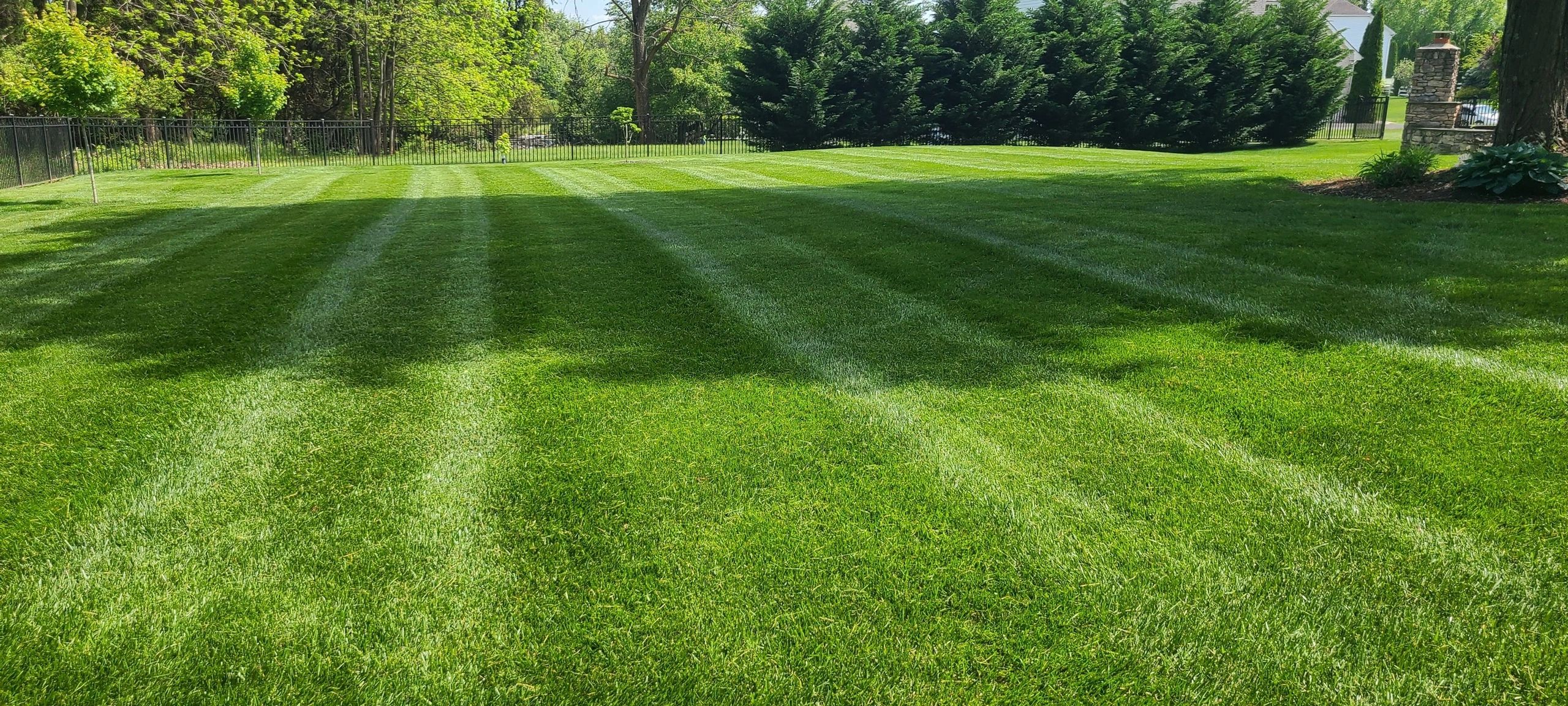 Diamond Pro Lawn