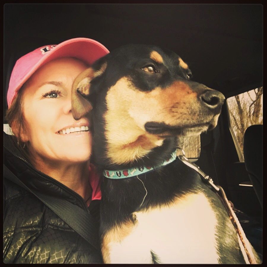 Pet Boarding and Pet Sitting - A Windy Day Farm