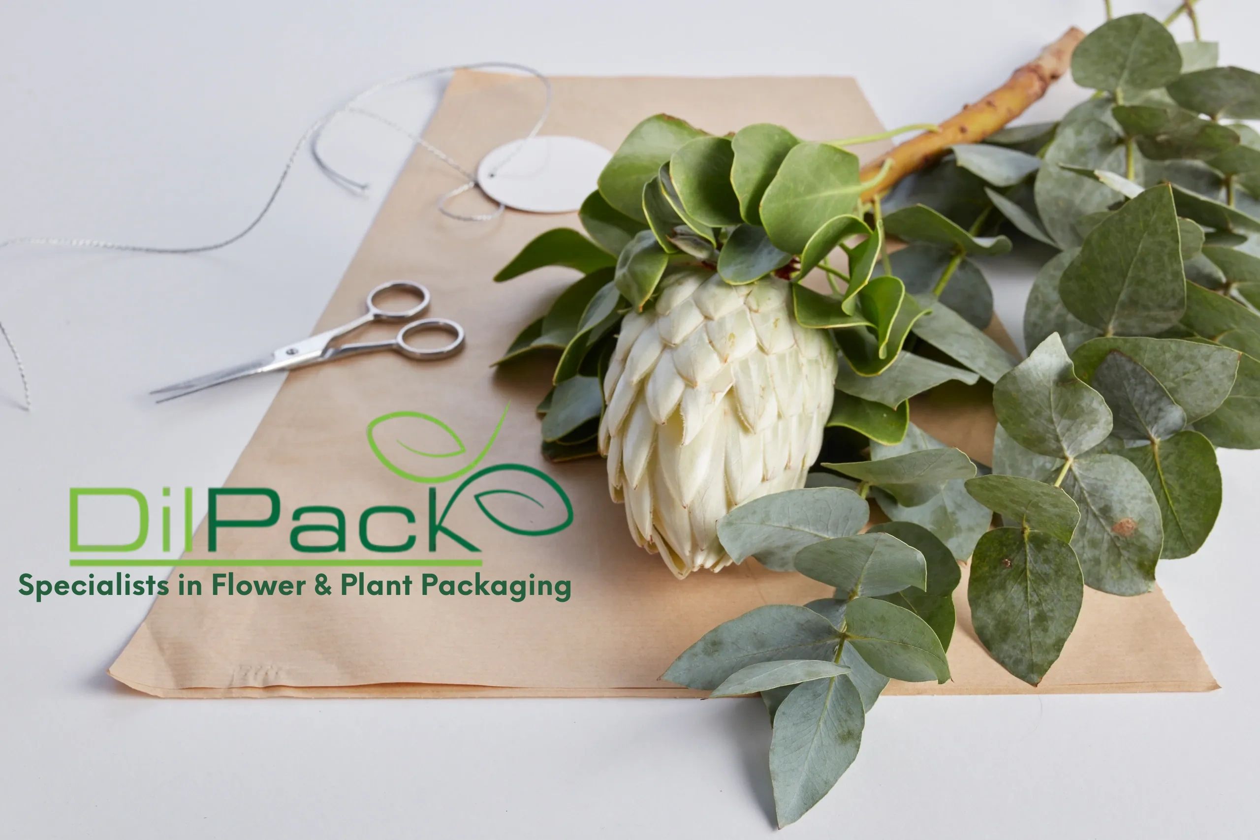 Pot Plant Covers - Flower Sleeves - Flower And Plant Packaging
