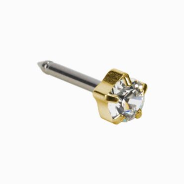 Professional Mobile Piercing Service | South Shore Piercing