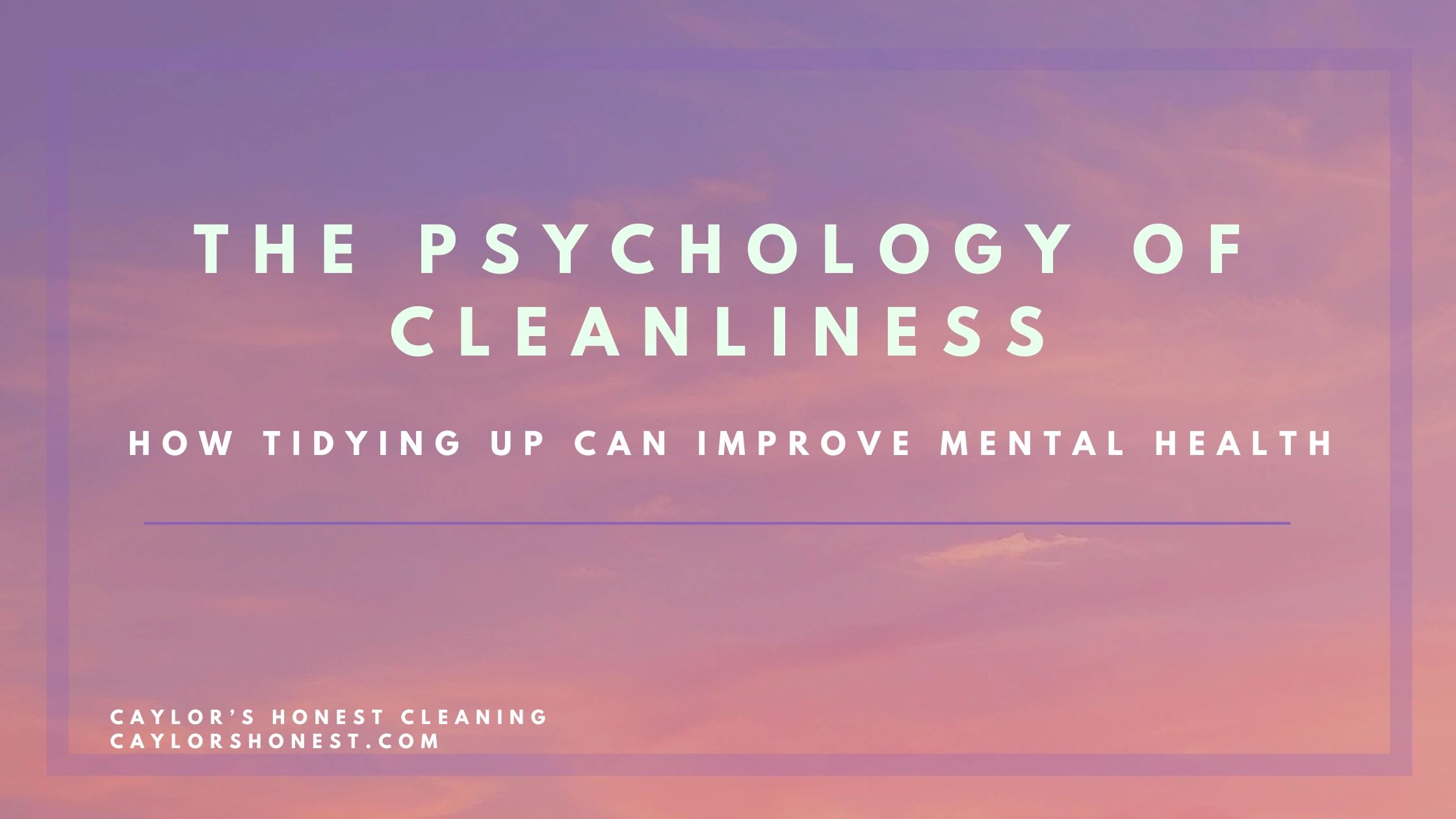 The Psychology of Cleanliness