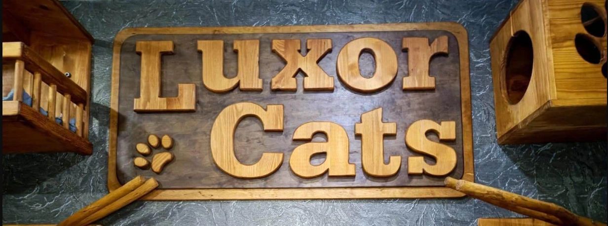 Luxor Sphynx Cats California