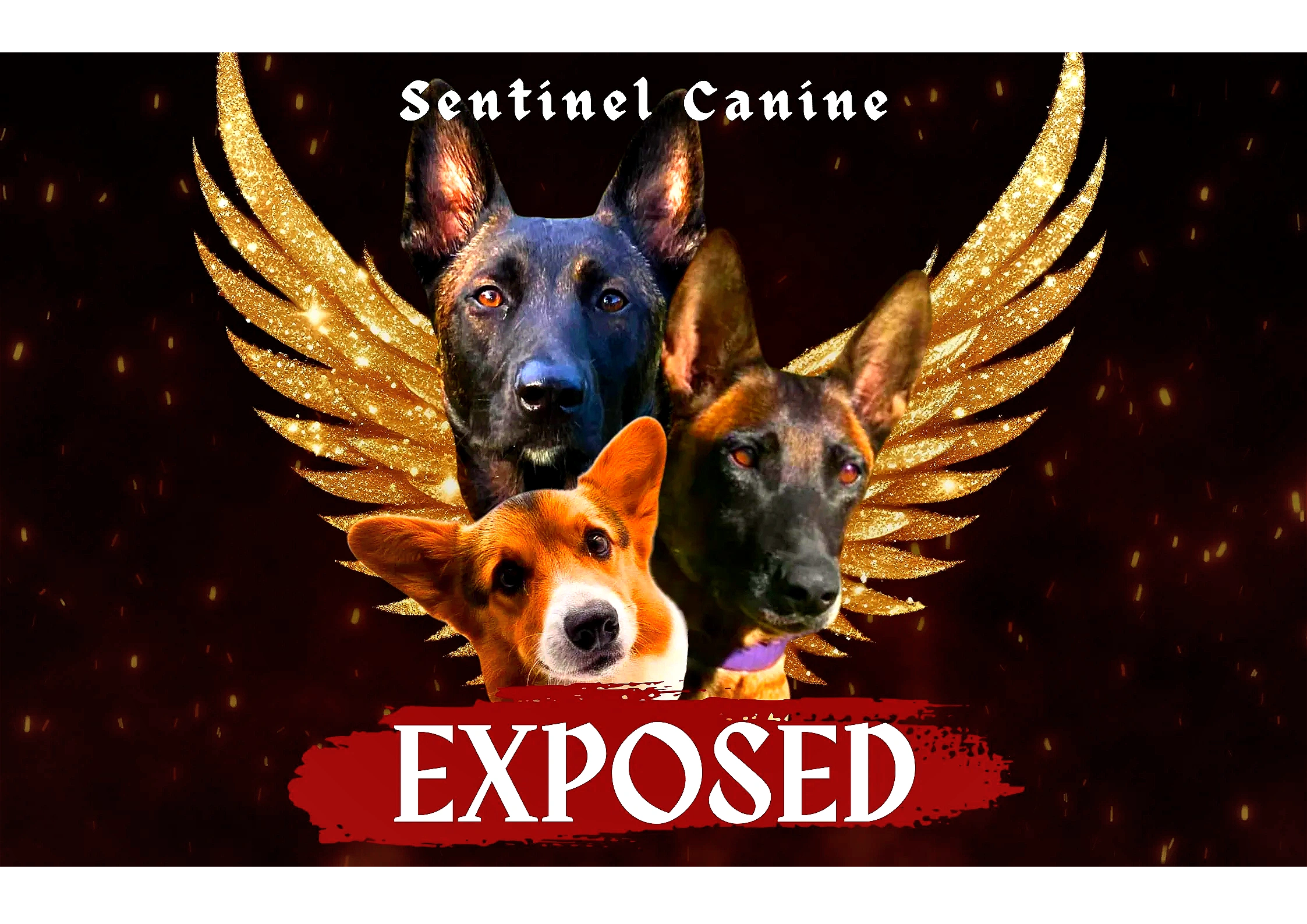 Sentinel Canine Exposed