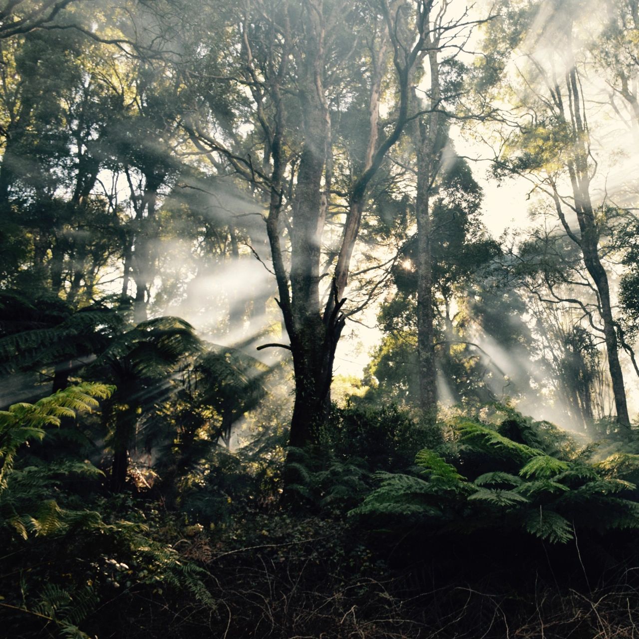 WINTERBOURNE