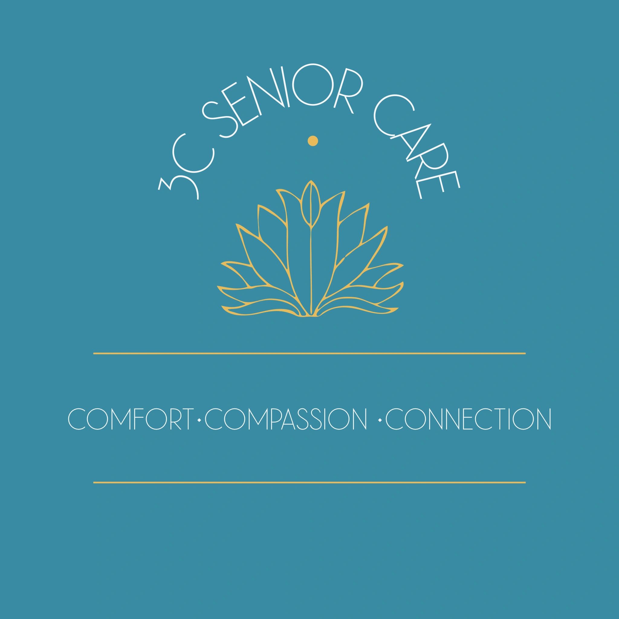 Elderly Companion Care | 3C Senior Care