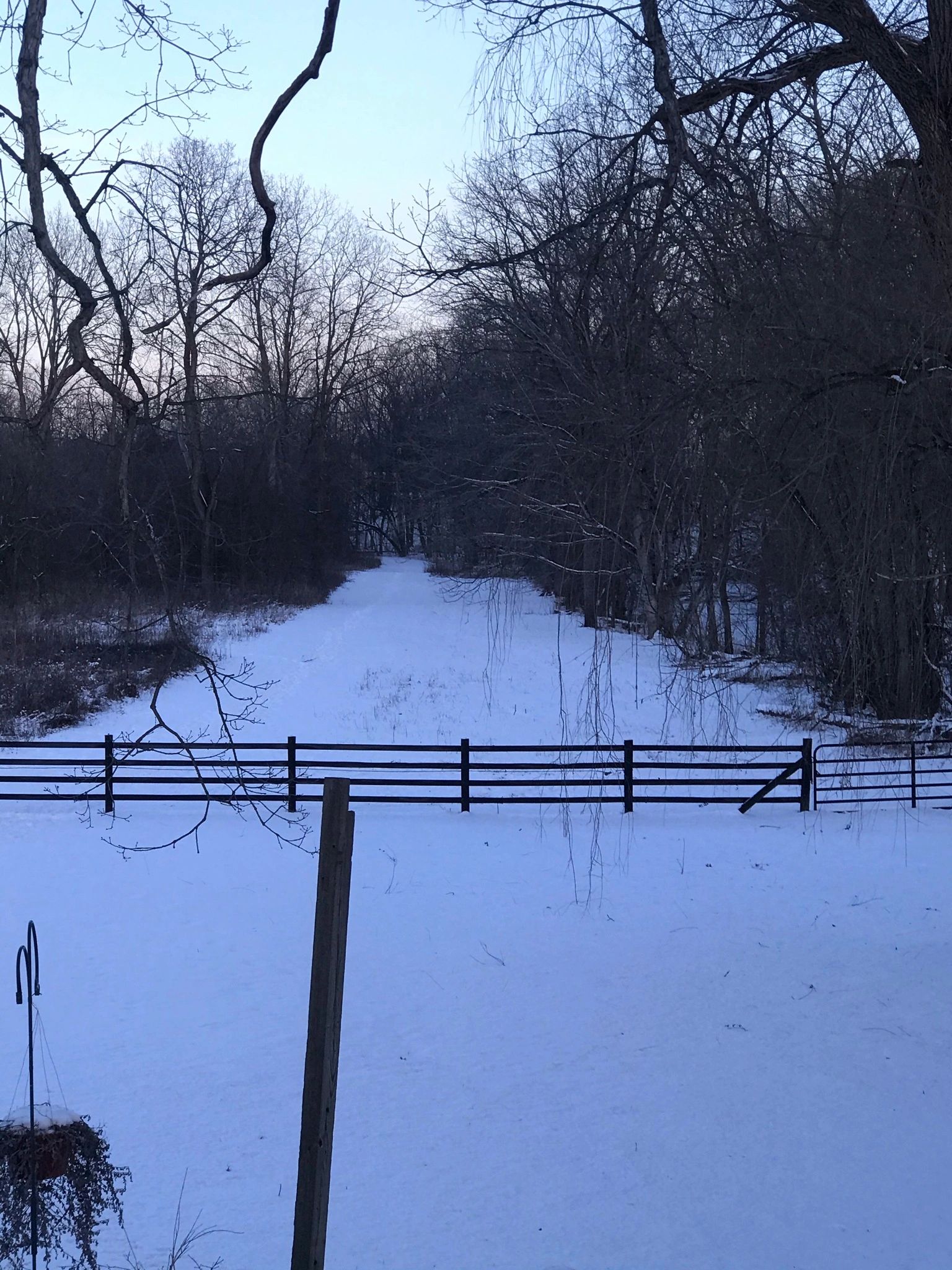Welcome to Knight Sky Farm - A small homestead in southeast MI