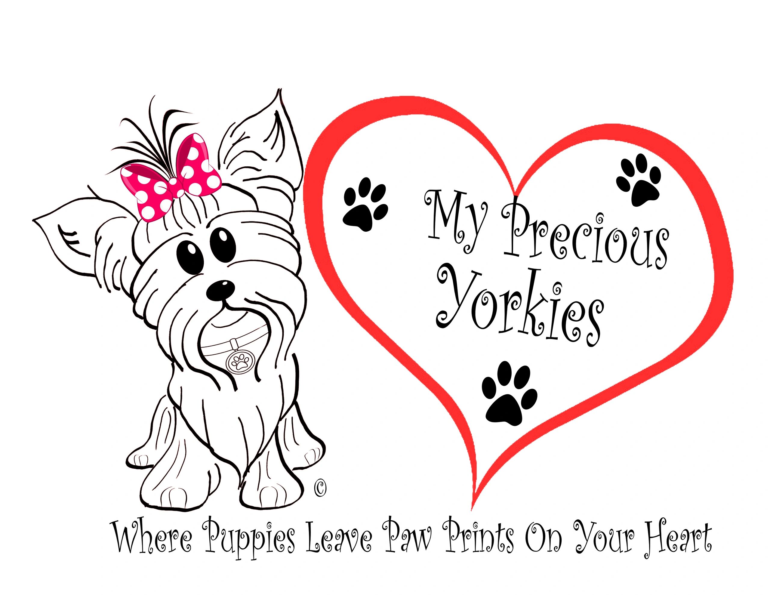 What Is A Parti Yorkie