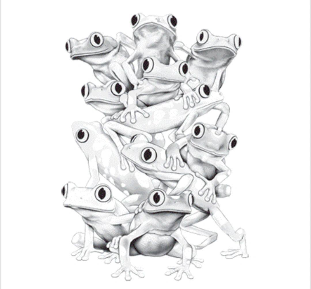 Frog Stack - Changes Colors In The Sun!