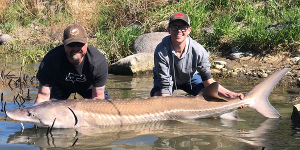 Idaho Sturgeon & Bass | Takedown Guide Service