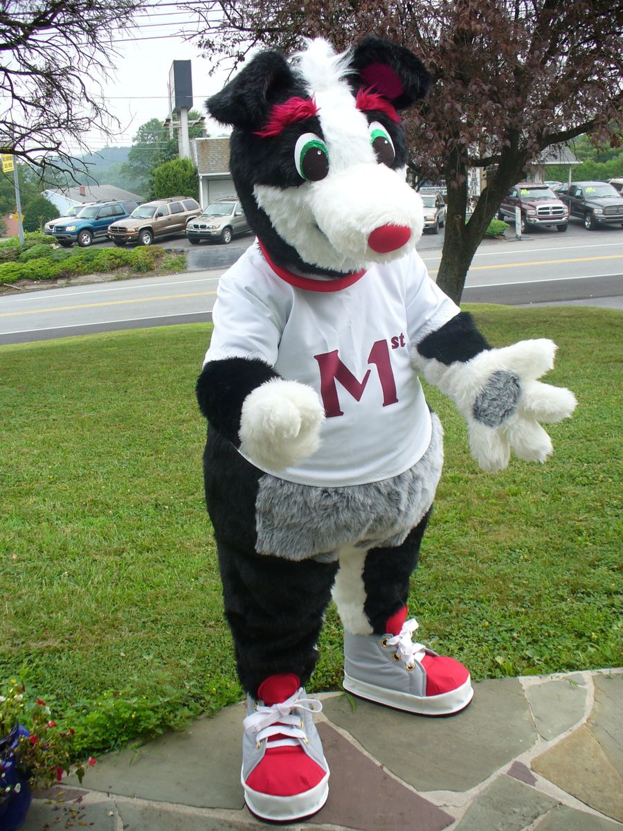 Mascot Costume Cleaning & Repair Evaluation