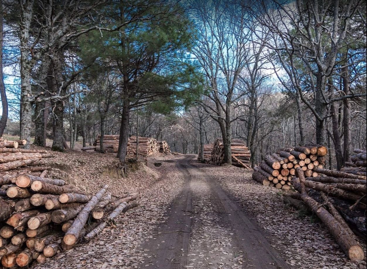 Logging Company Crawford County PA - Stutzman Bros. Lumber