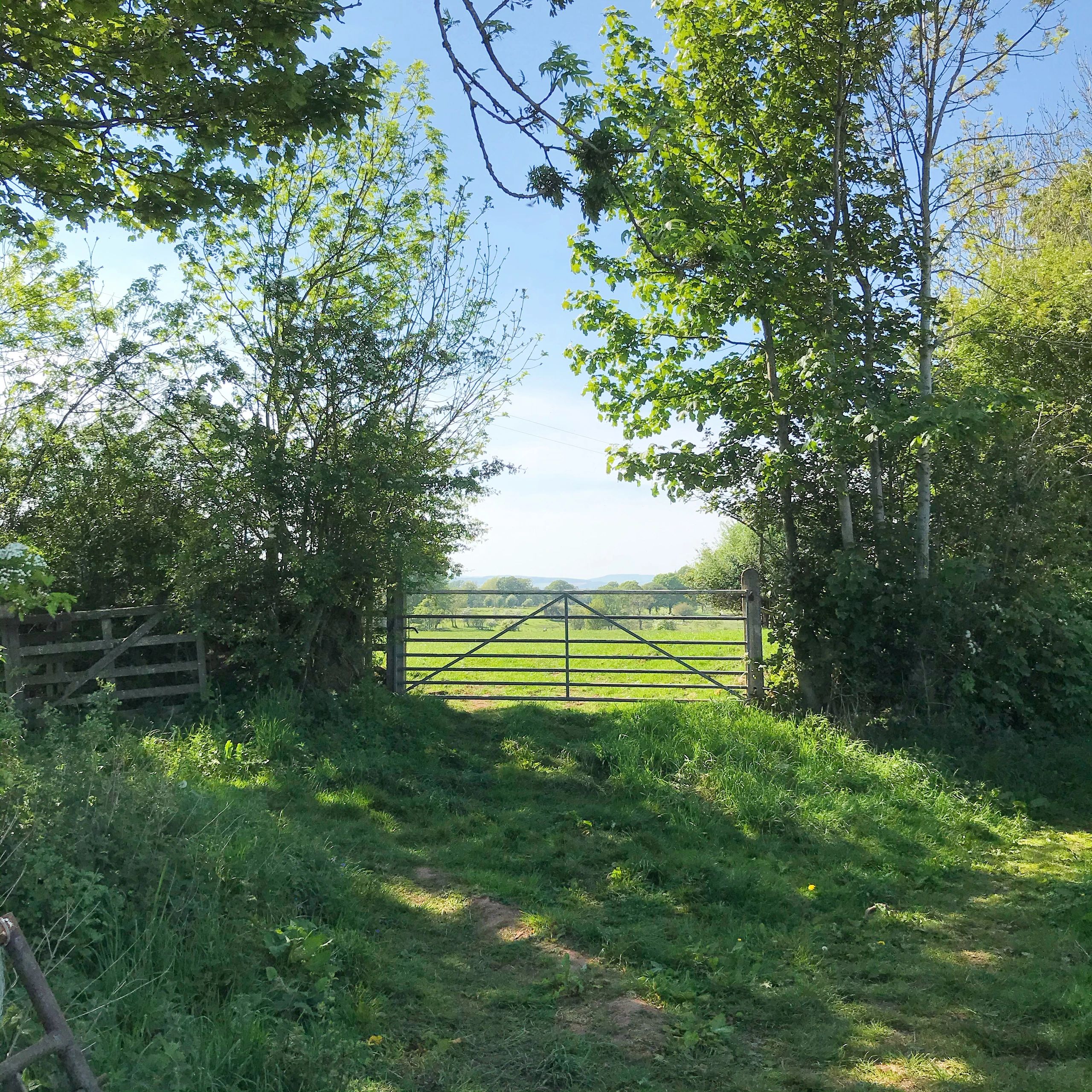 Flass House | Yam Architects