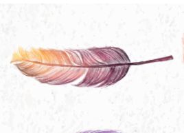 Staff | FEATHER MAPLE BOOKS