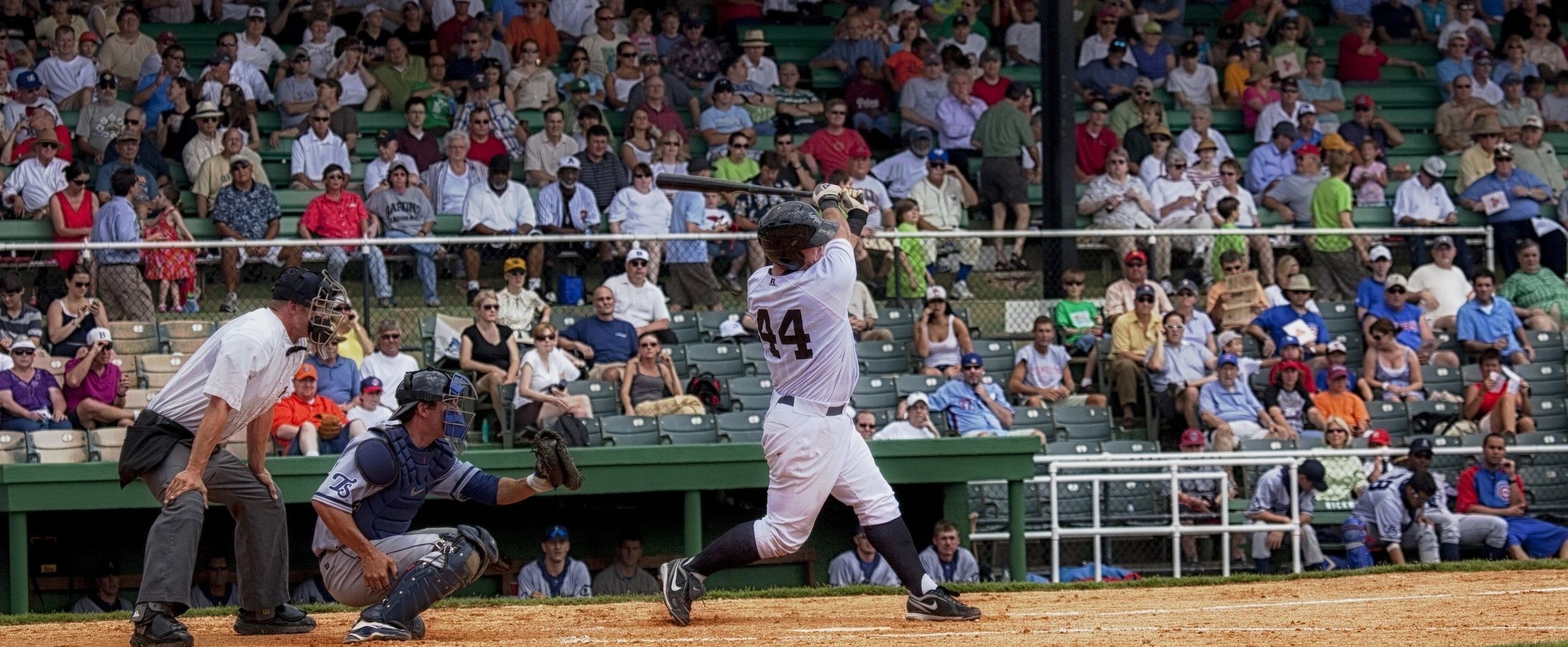 MLB Baseball Fans - Fans Align