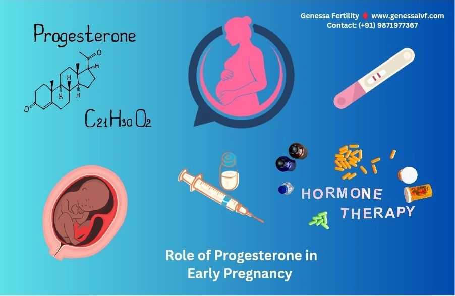 Role of Progesterone in Early Pregnancy