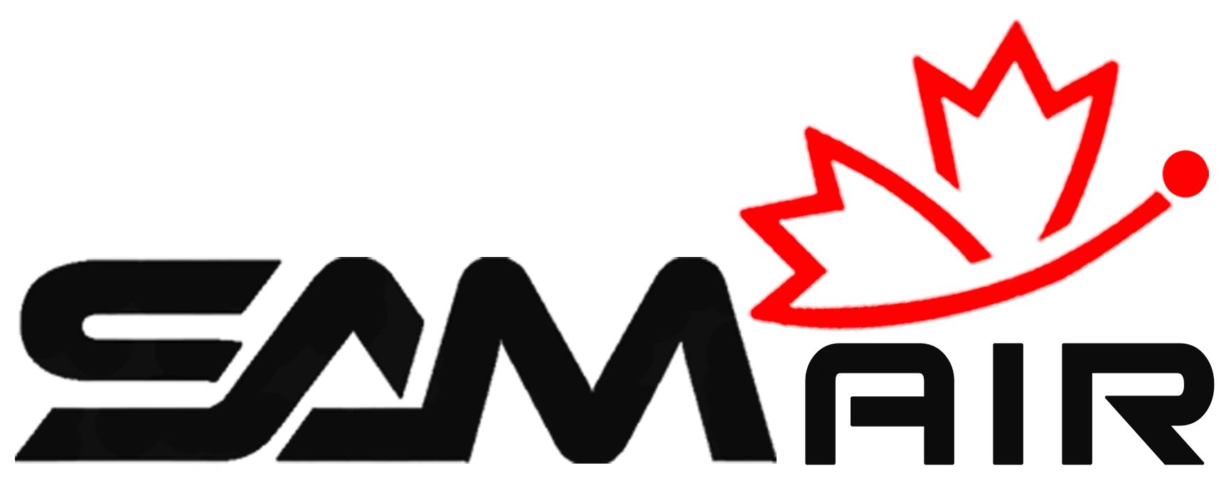 SAM AIR - Shaping the Future of Flight