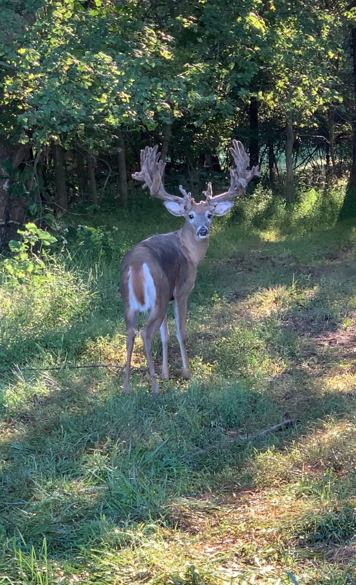 Twin Valley Whitetails Ohio