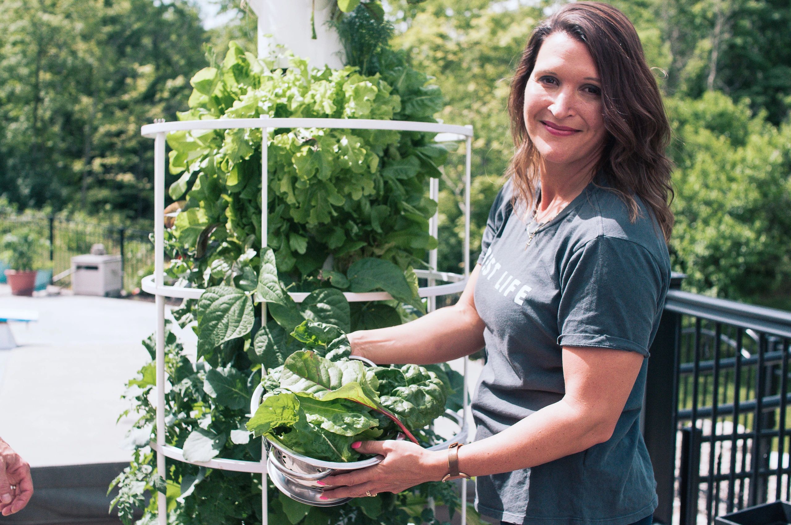 The spectrum of processed food and WHY it matters