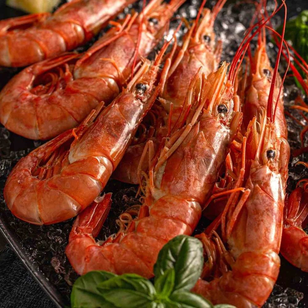 Argentine Red King Prawns Pack of 24