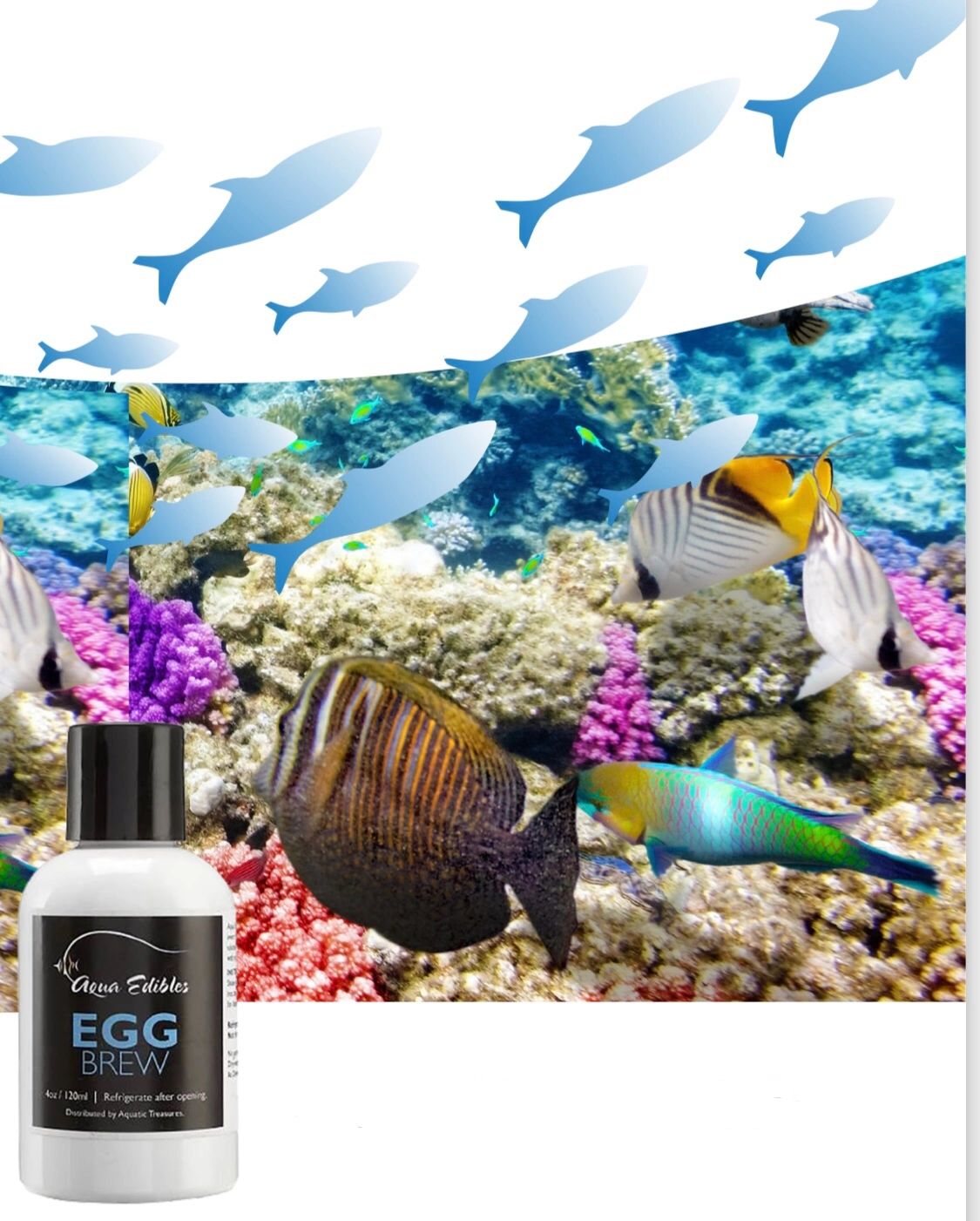 Aqua Edibles - Saltwater Fish, Aquarium Fish Food
