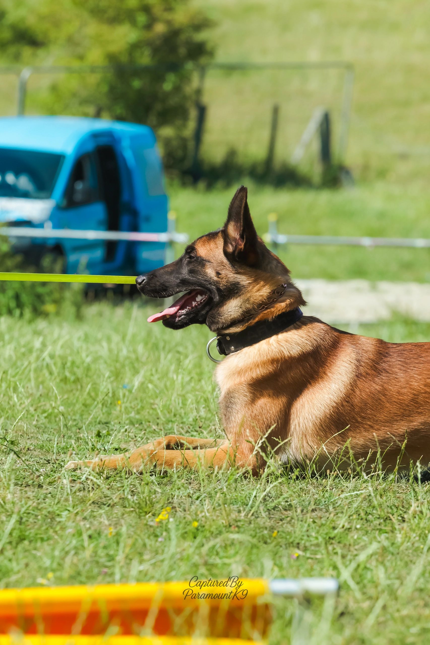 Distraction Masterclass