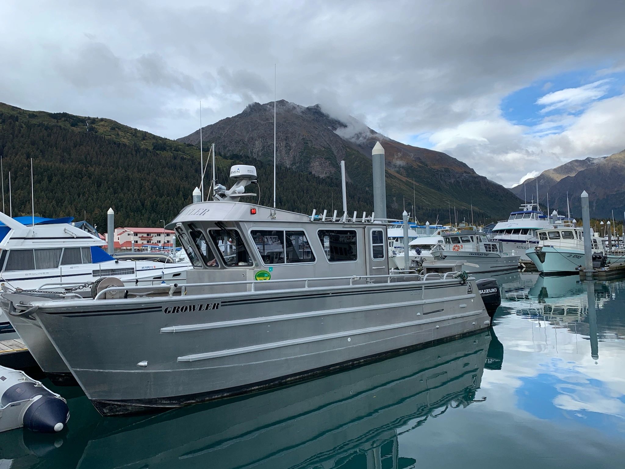 Experience the Ultimate Sight-Seeing Trip with Seward Charters