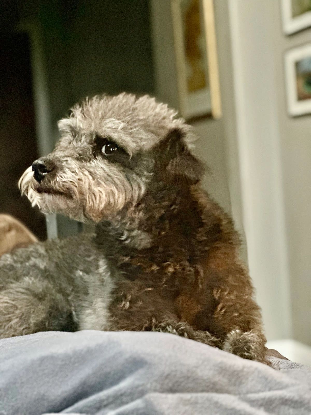 Catching Side Eye from Ava!