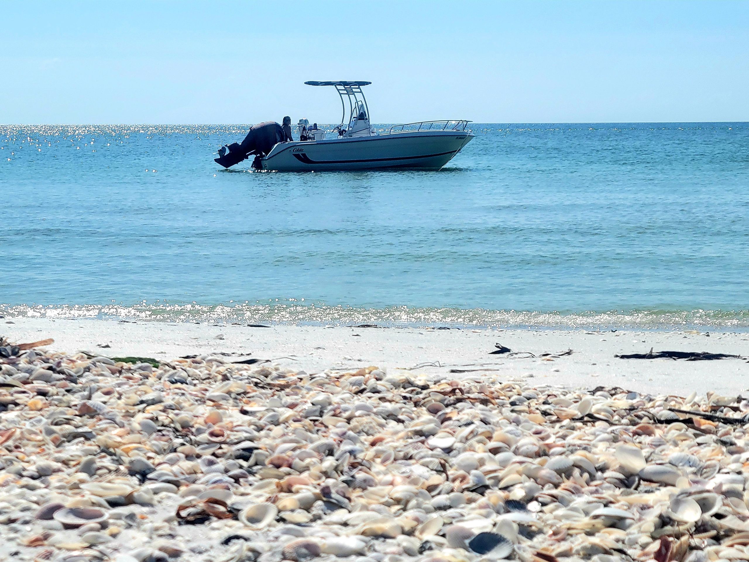 Cabbage Key & Cayo Costa Beach Adventure