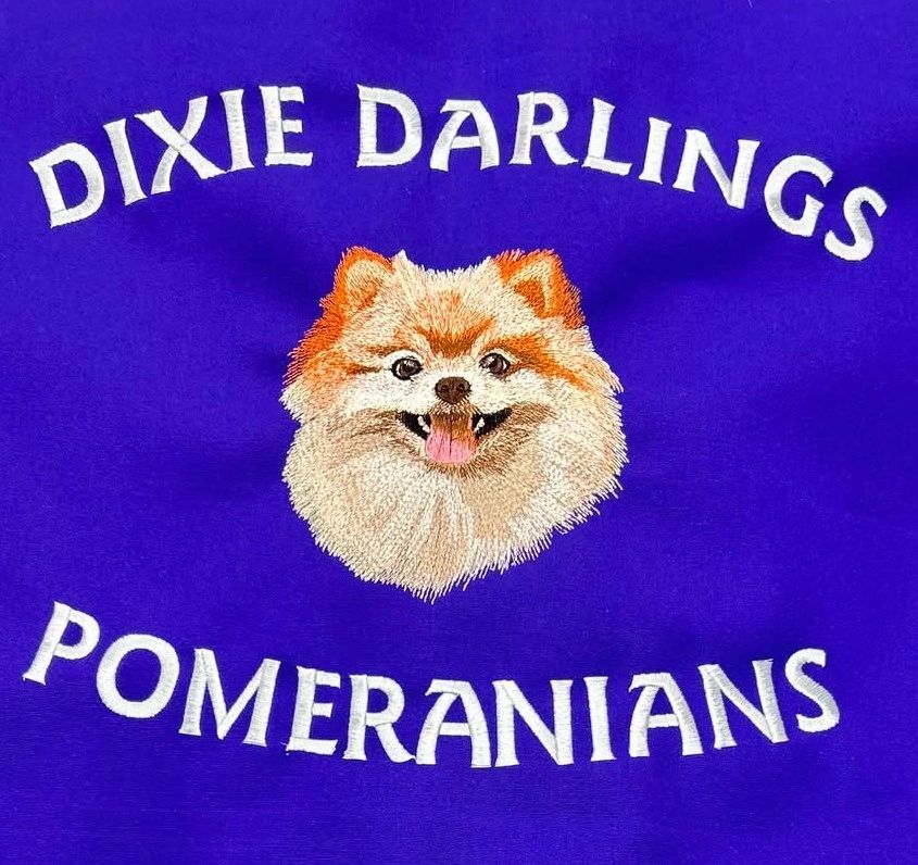 Dixie Darlings Pomeranians