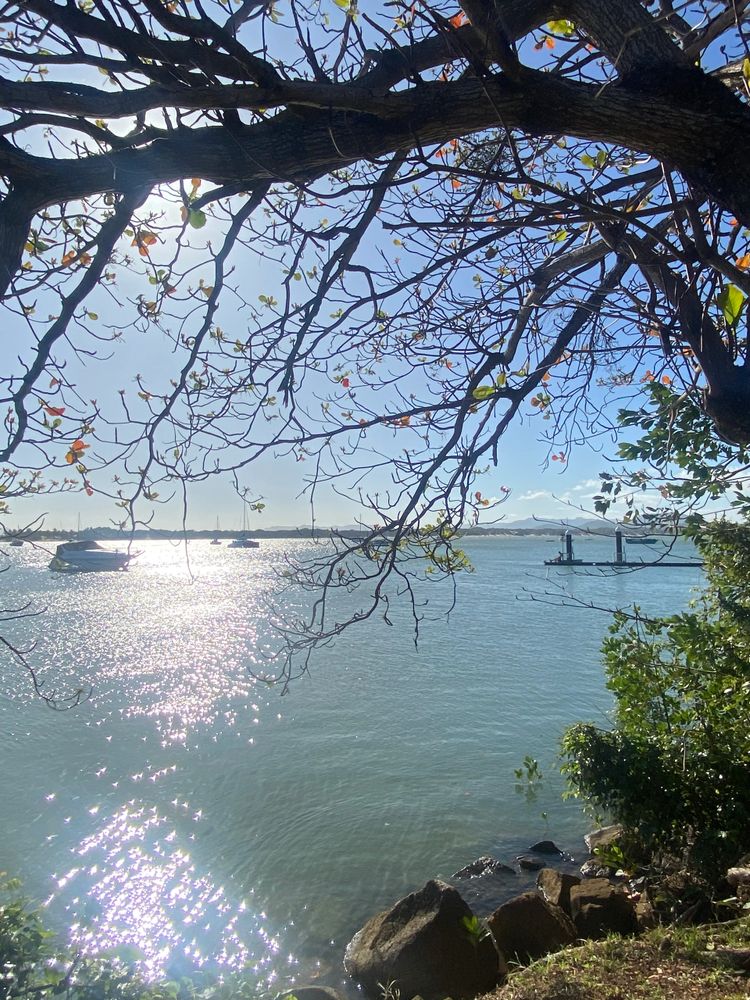 Waterfront Accommodation - The Seaview Cooktown