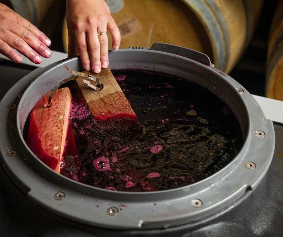 Non-Traditional Barrels Revolutionise Wine Barrel Maturation