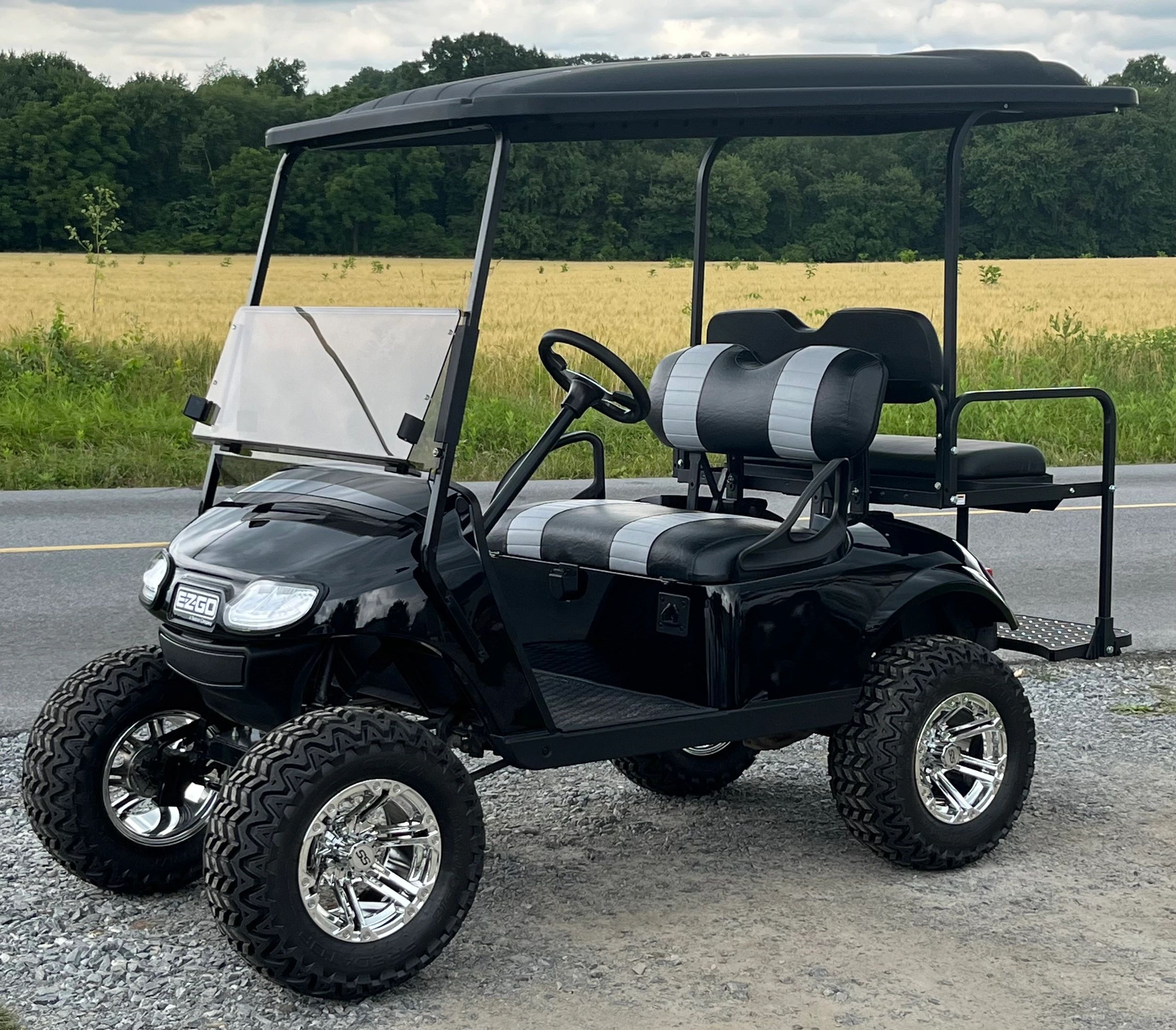 A Beginner's Guide to Choosing the Right Golf Cart