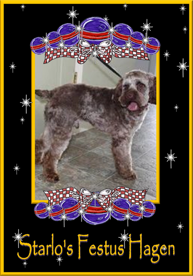 Starlo's Mamas & Papas...