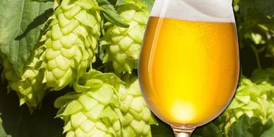 Blue Lotus Winery - Mead, Carbonated Mead, Winery, Mead | Blue Lotus Winery