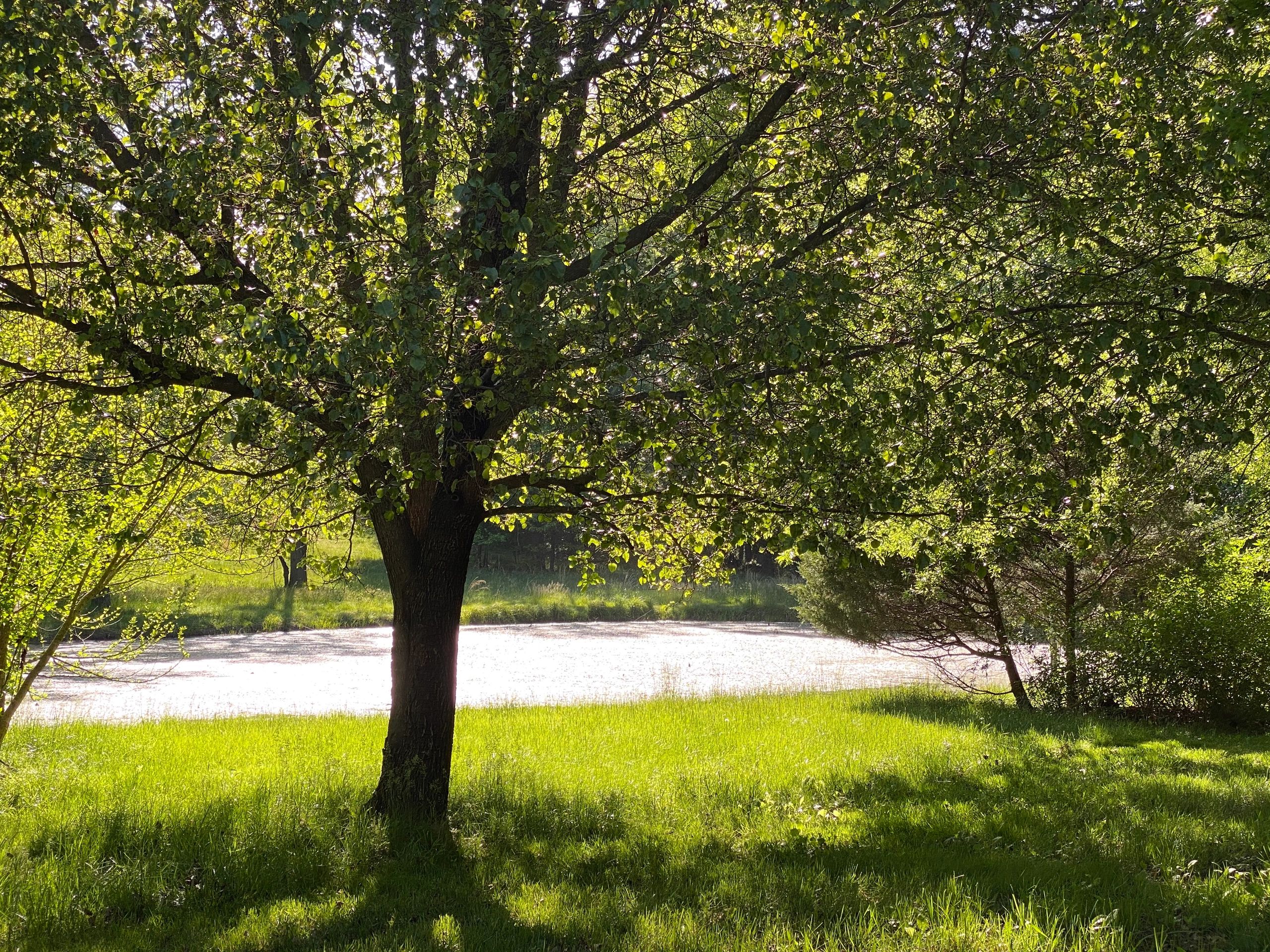 Hide Away Pond Retreat Center