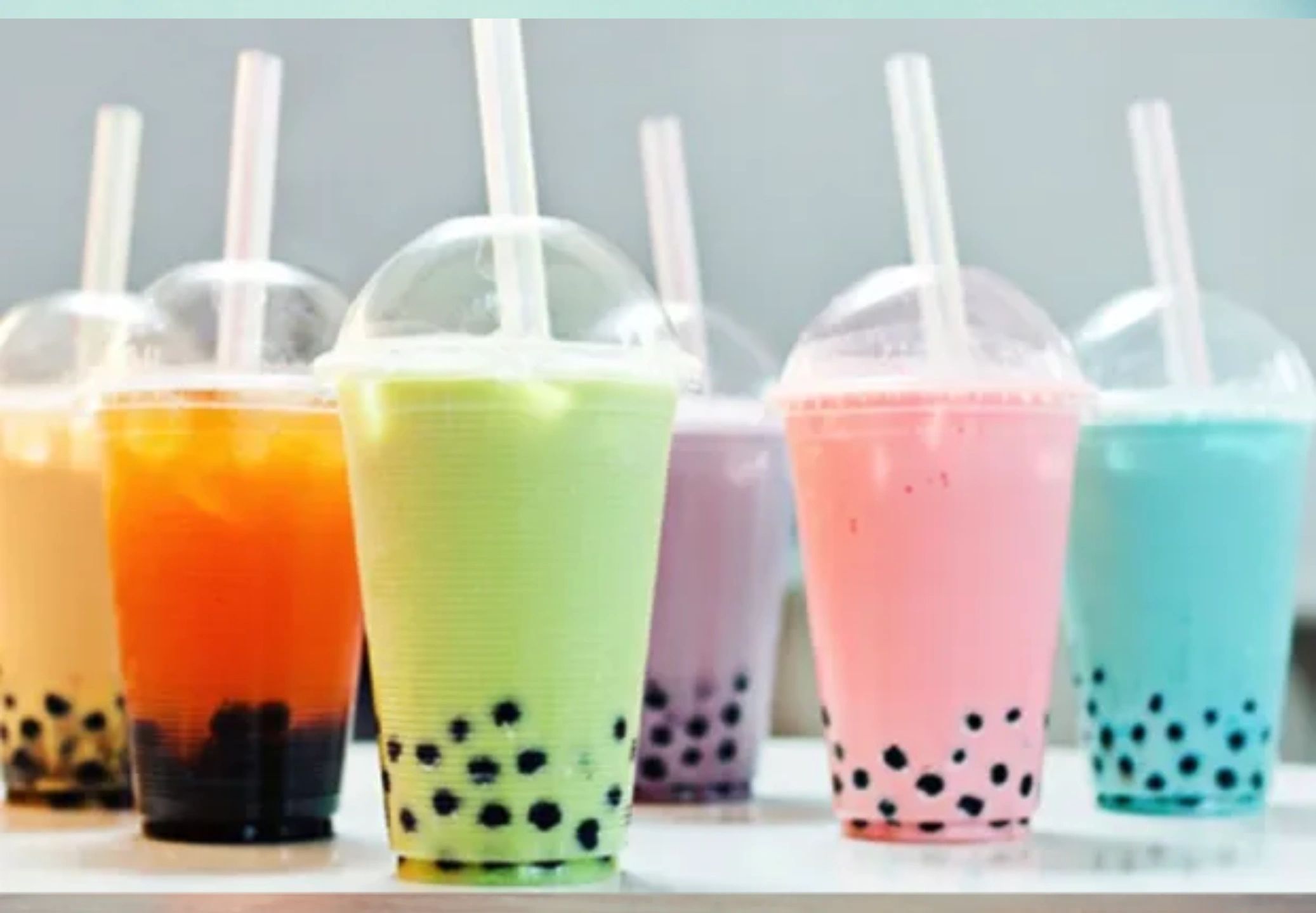 University Boba Tea House Tampa