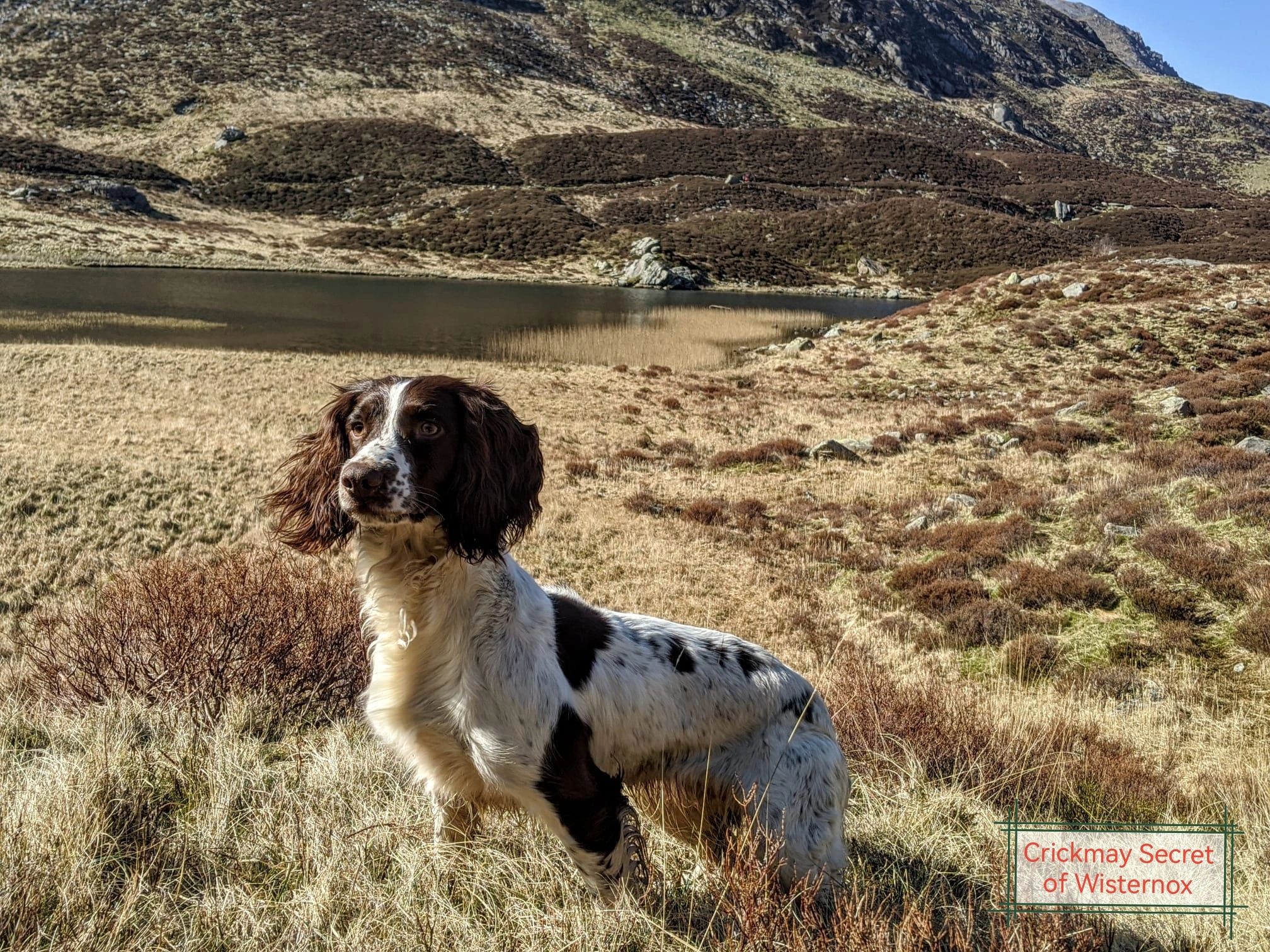 Drowned Victim Search Team - Home