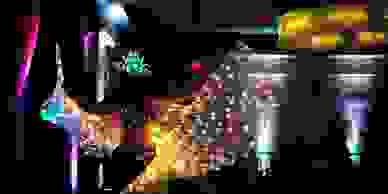 Haydee - Professional Entertainment