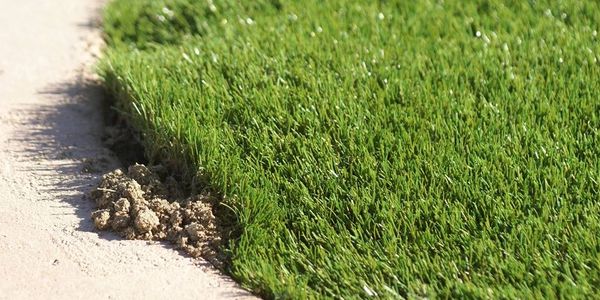 Gopher B Gone - Pest Control, Gopher Eradication