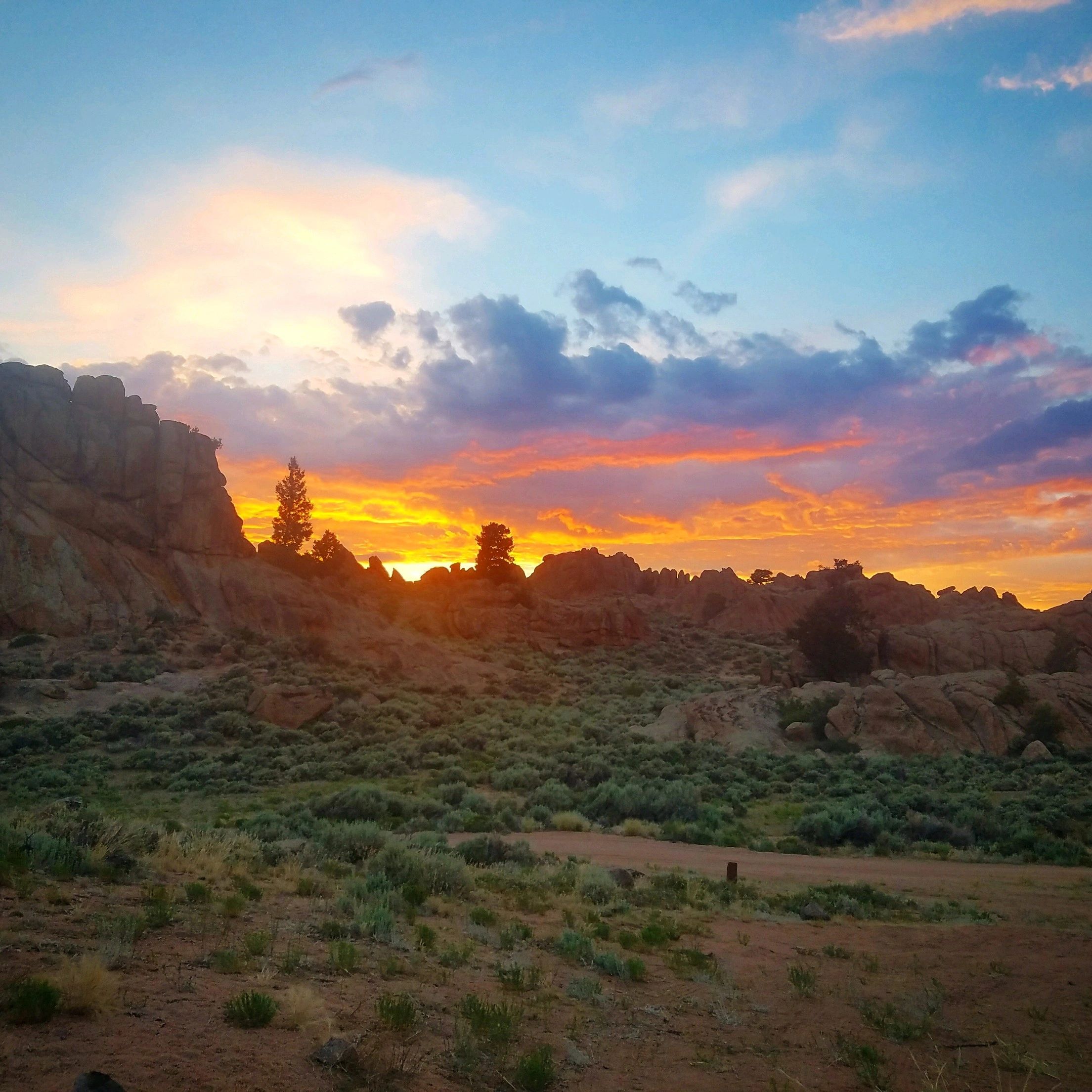 Dragon Raft Harness| ColoradoBigfooter.com